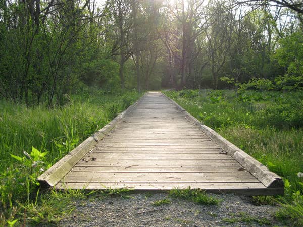 Solar Lights For Pathway Inspiration | Fligreen Solar Garden Lights Company